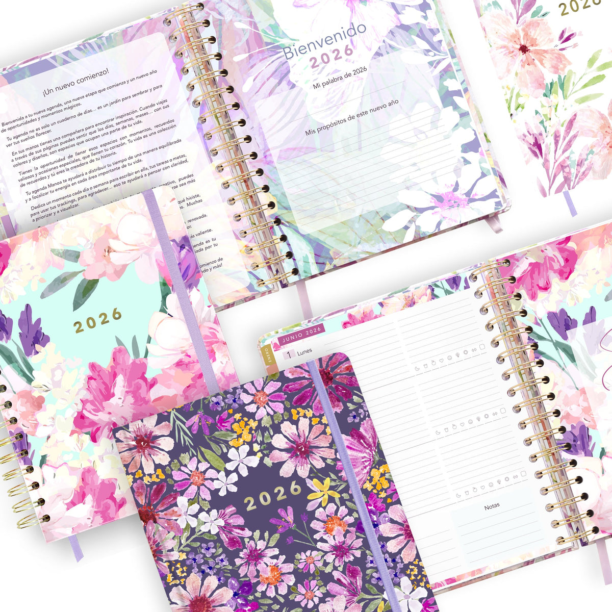 Agendas 2026 – Etiquetados "agendas 2026" – MANOA® MEXICO